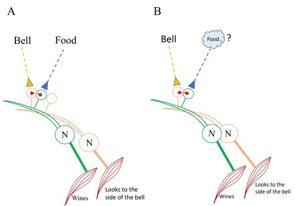 FAQs - Semblancehypothesis.org